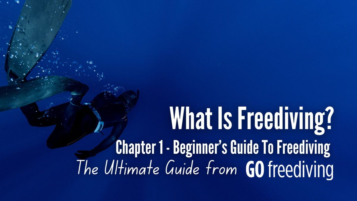 The Beginner's Guide To Freediving - a comprehensive online guide