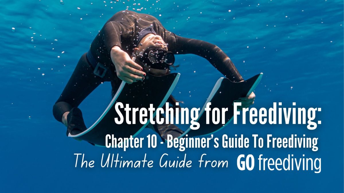 The Beginner's Guide To Freediving - a comprehensive online guide