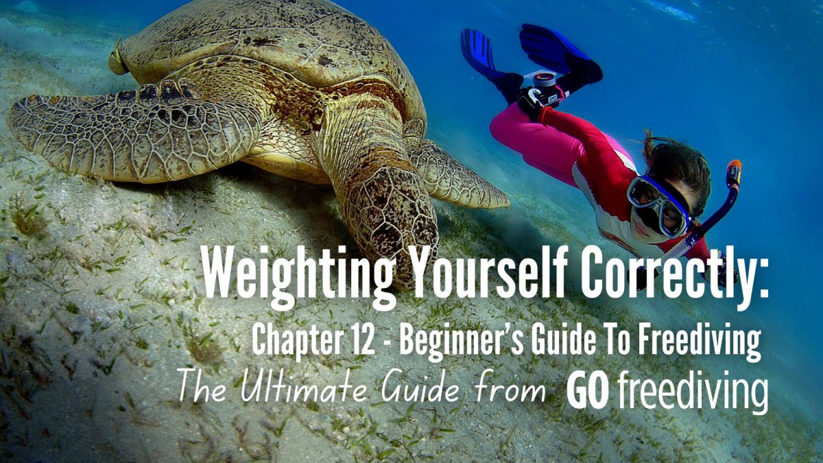 The Beginner's Guide To Freediving - a comprehensive online guide