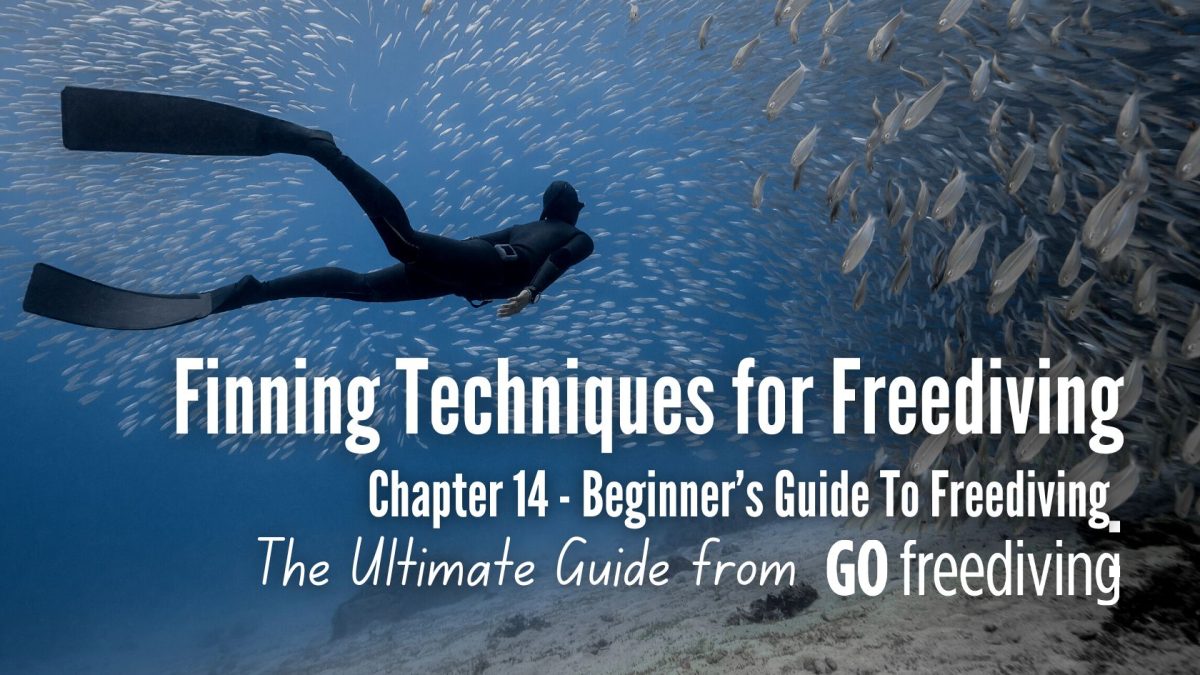 The Beginner's Guide To Freediving - a comprehensive online guide