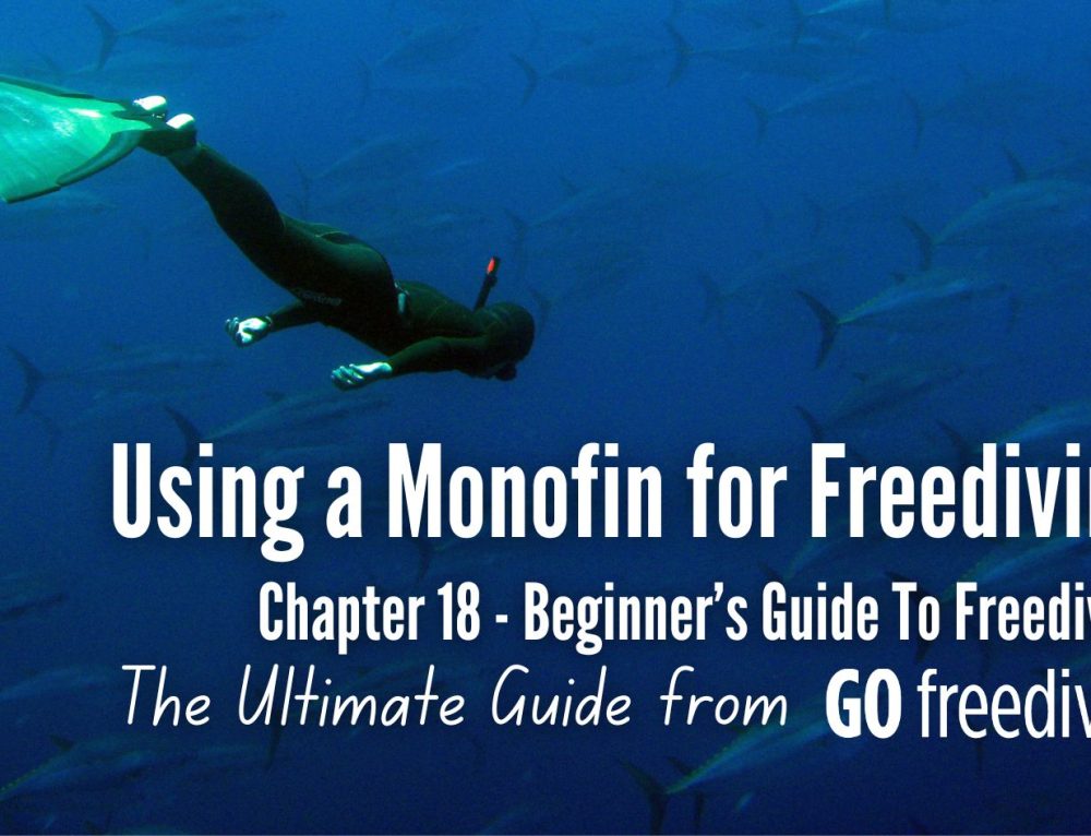 The Definitive Guide to the Frenzel Technique - With Emma Farrell - Go ...