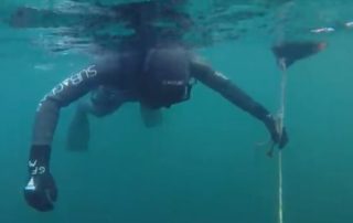 Learn to freedive with Go Freediving