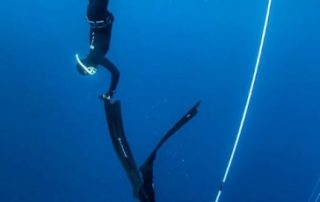 Learn to freedive with Go Freediving