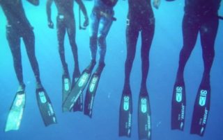 Learn to freedive with Go Freediving