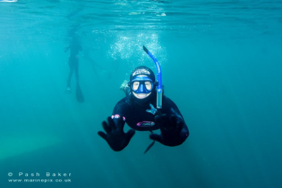 Learn to freedive with Go Freediving