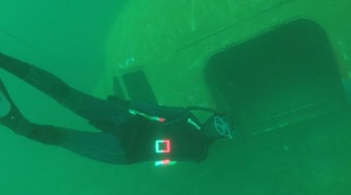 Freediving Courses For Children - What you need to know - Go Freediving