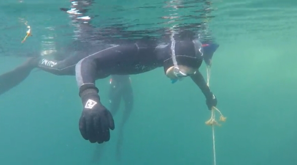 What Freediving Skills Do You Learn On A Freediving Course? - Go Freediving