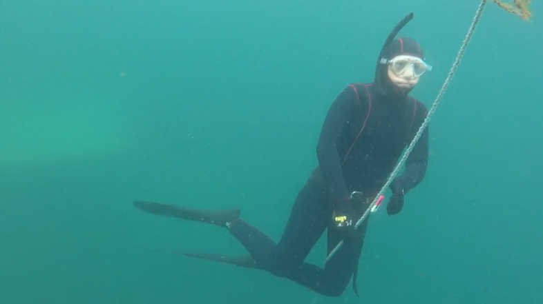 What Freediving Skills Do You Learn On A Freediving Course? - Go Freediving