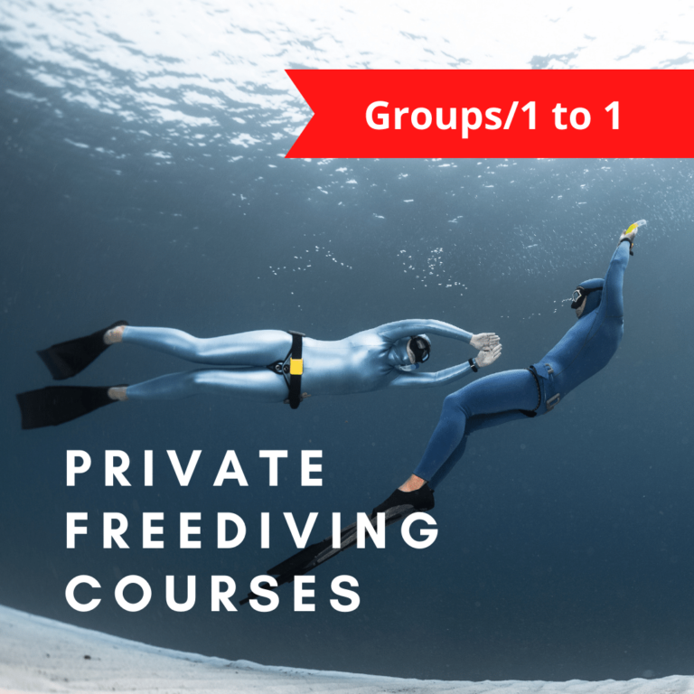 Learn to freedive with Go Freediving