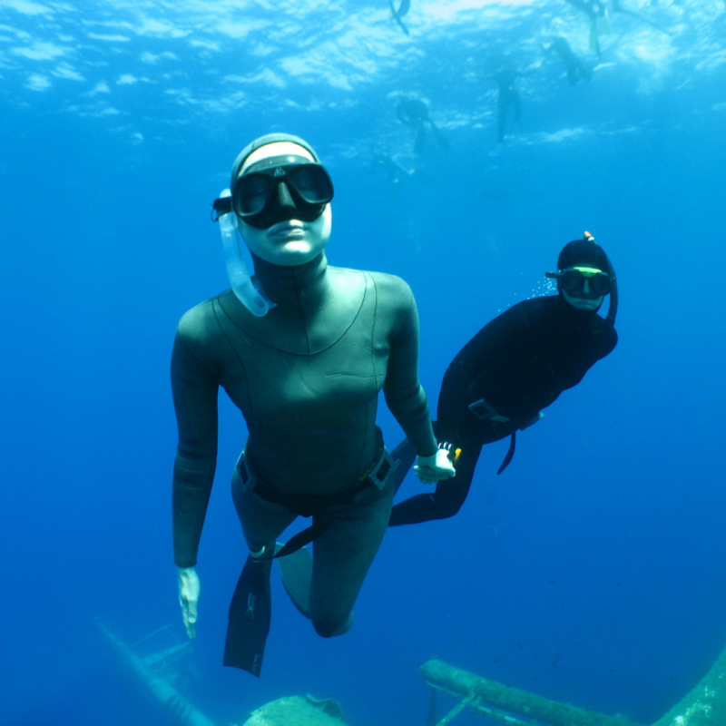 Learn to freedive with Go Freediving