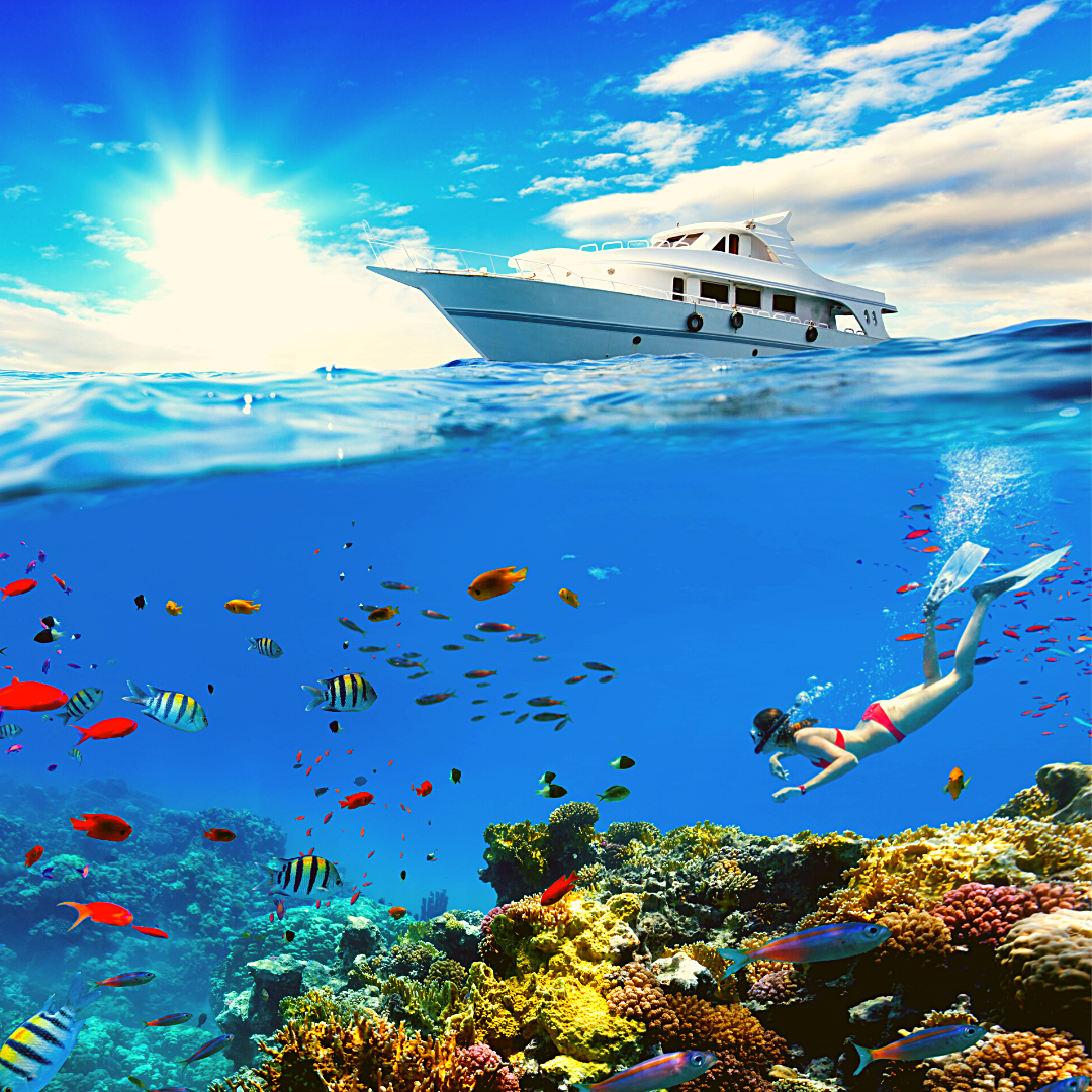 Learn to freedive with Go Freediving