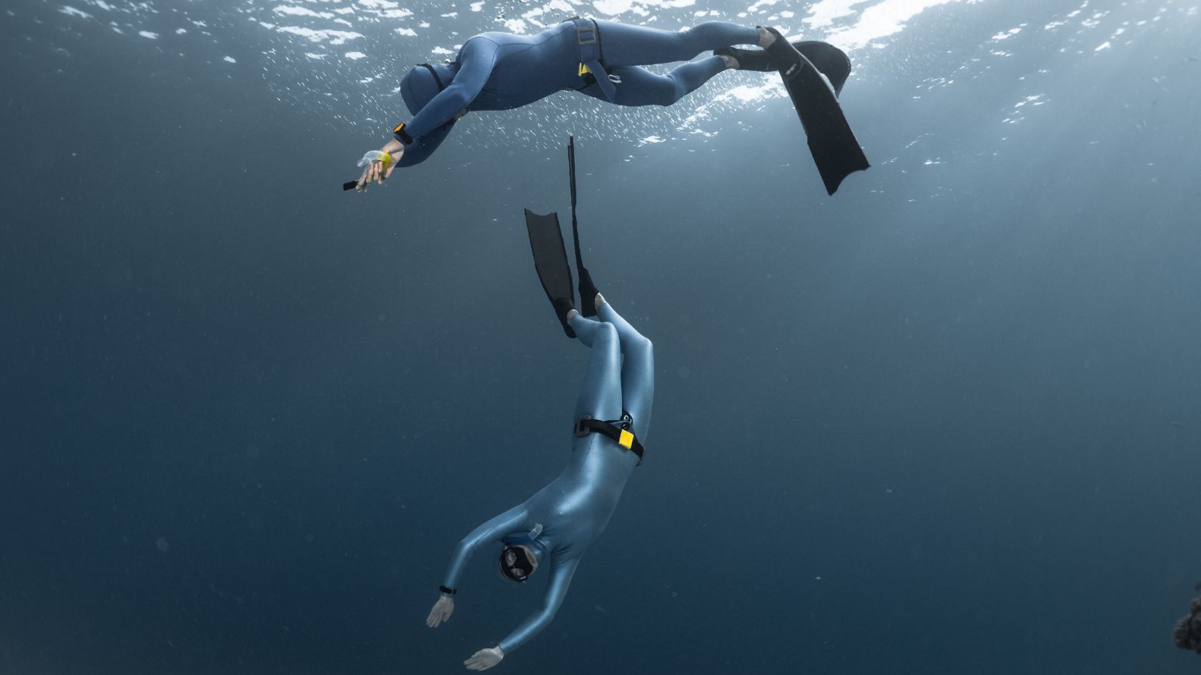 Why learning to be a safe freediving buddy is so important - Go Freediving