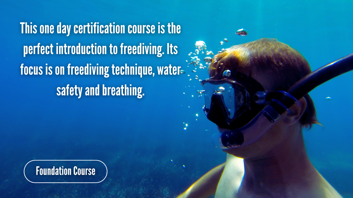 Learn to freedive with Go Freediving