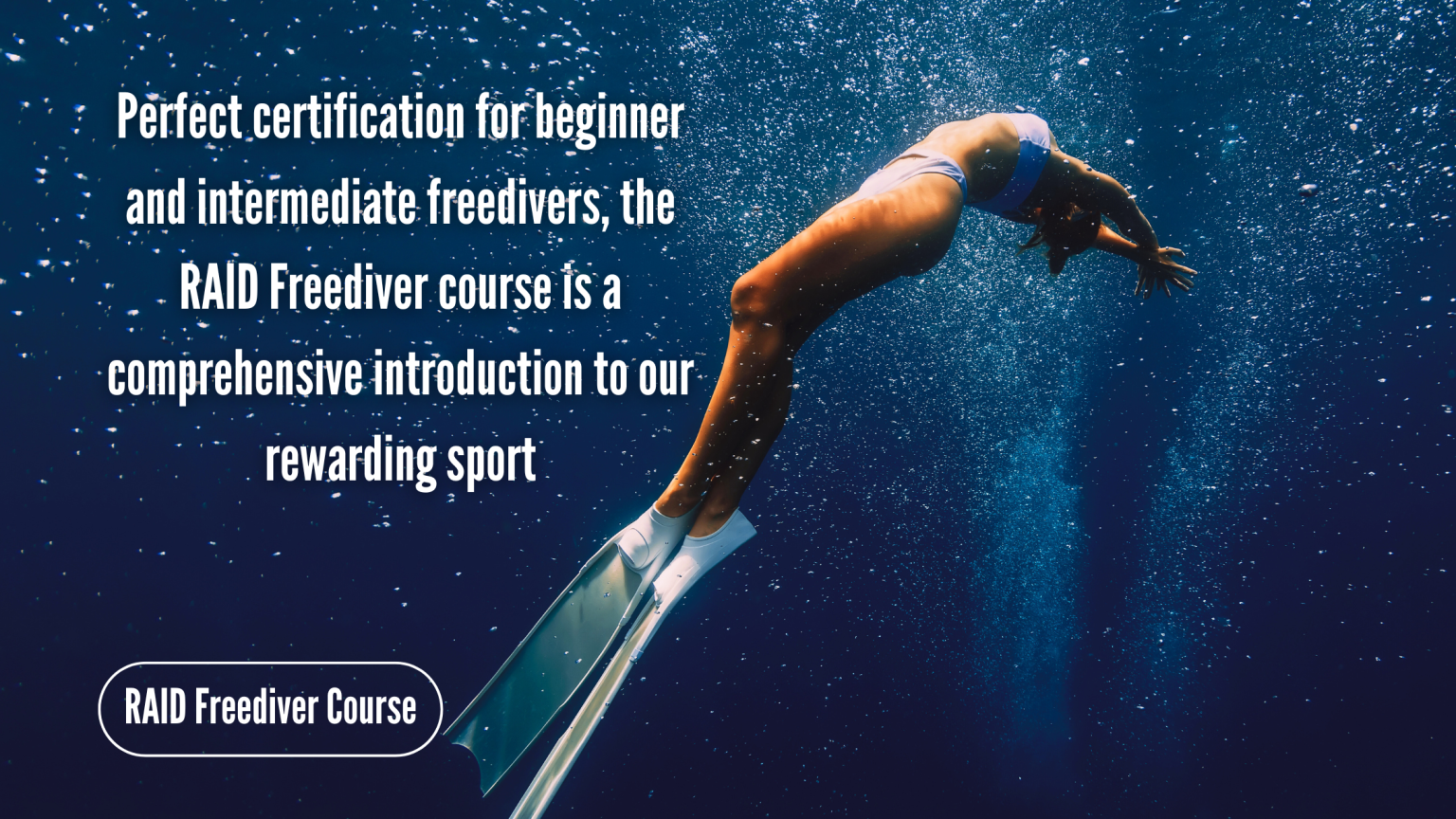 Learn to freedive with Go Freediving