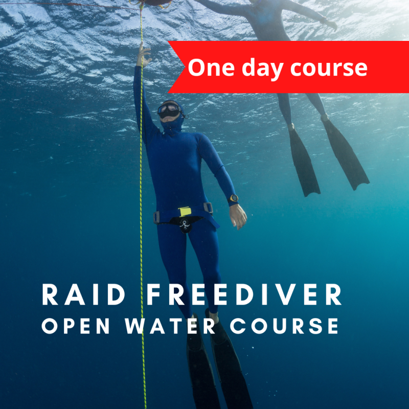 Learn to freedive with Go Freediving