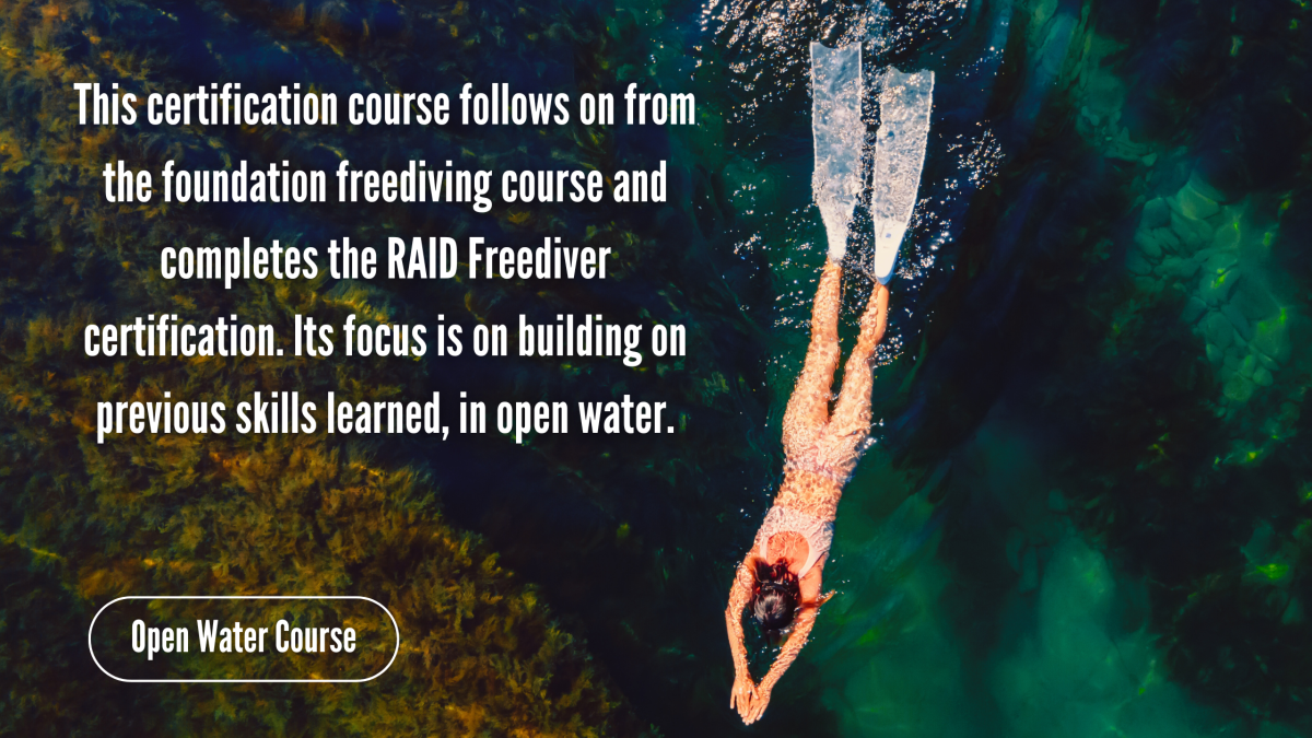 Learn to freedive with Go Freediving