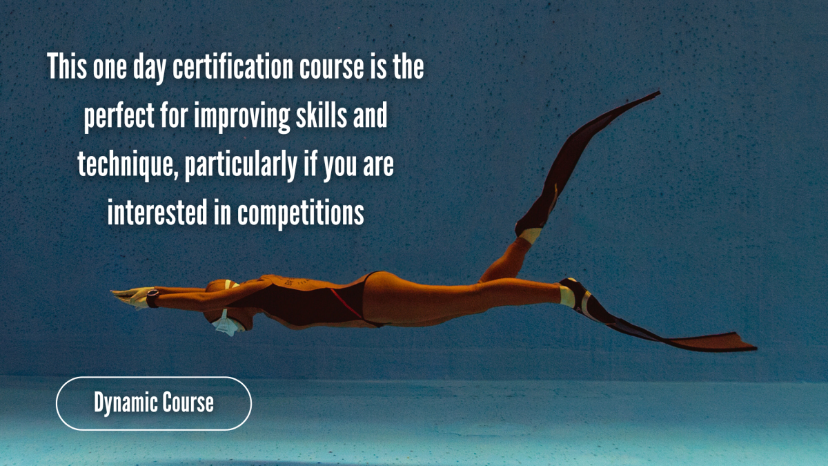 Learn to freedive with Go Freediving