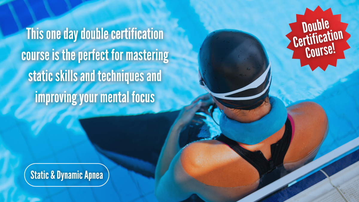 Learn to freedive with Go Freediving