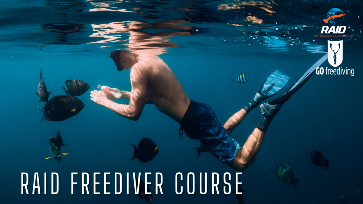 Learn to freedive with Go Freediving