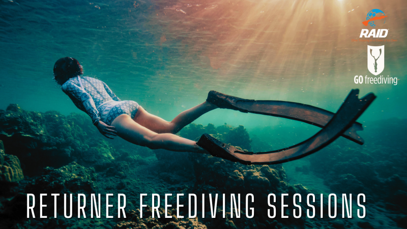 Learn to freedive with Go Freediving